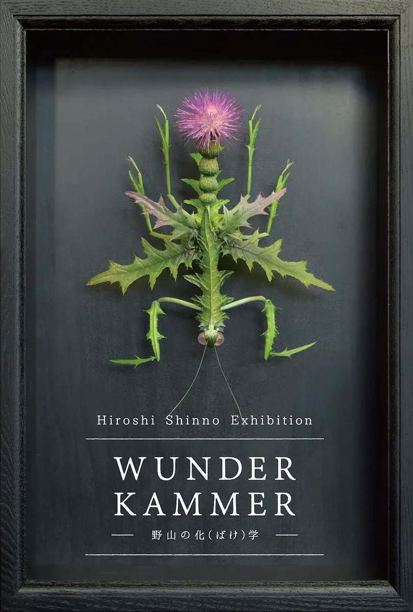 新野洋 「WUNDERKAMMER ‐野山の化（ばけ）学‐」 （YOD Gallery） ｜Tokyo Art Beat
