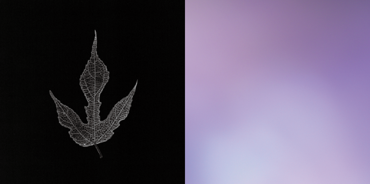 Megumi Mochizuki + Shujiro Murayama "A Brief History of Photography ...