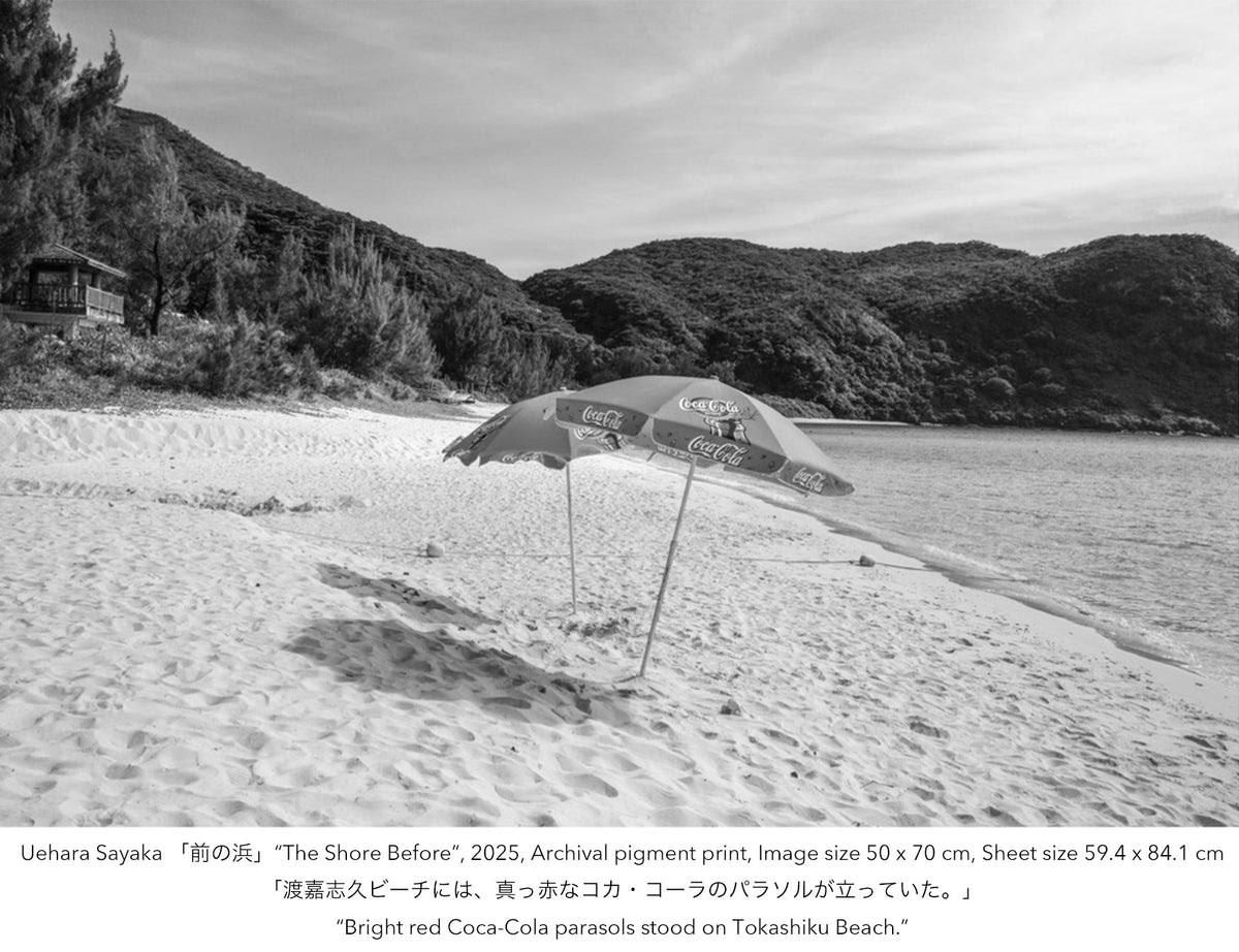 Sayaka Uehara "The Shore Before" （Misa Shin Gallery） ｜Tokyo Art Beat