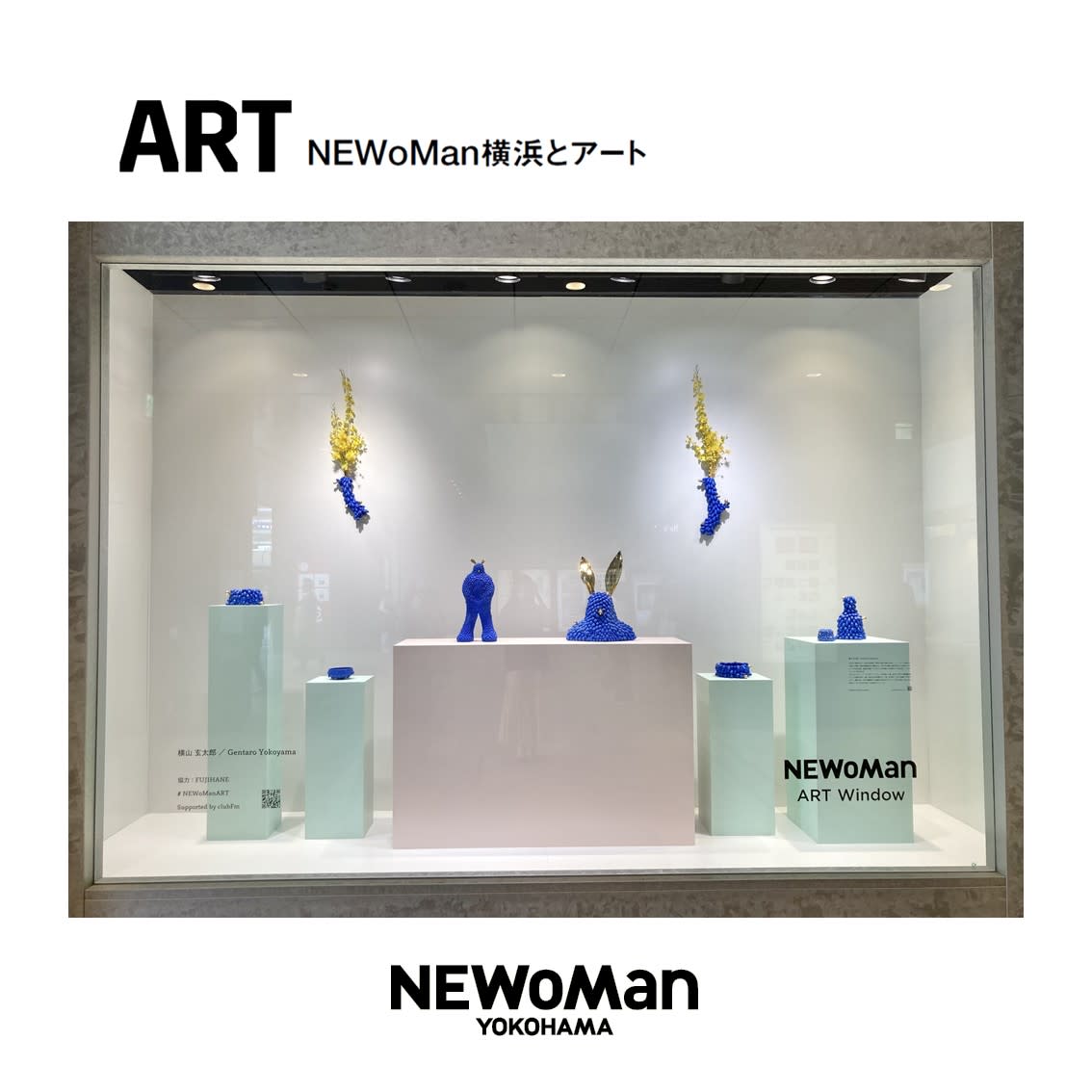 Gentaro Yokoyama Exhibition （NEWoMan Art Window (NEWoMan Yokohama ...
