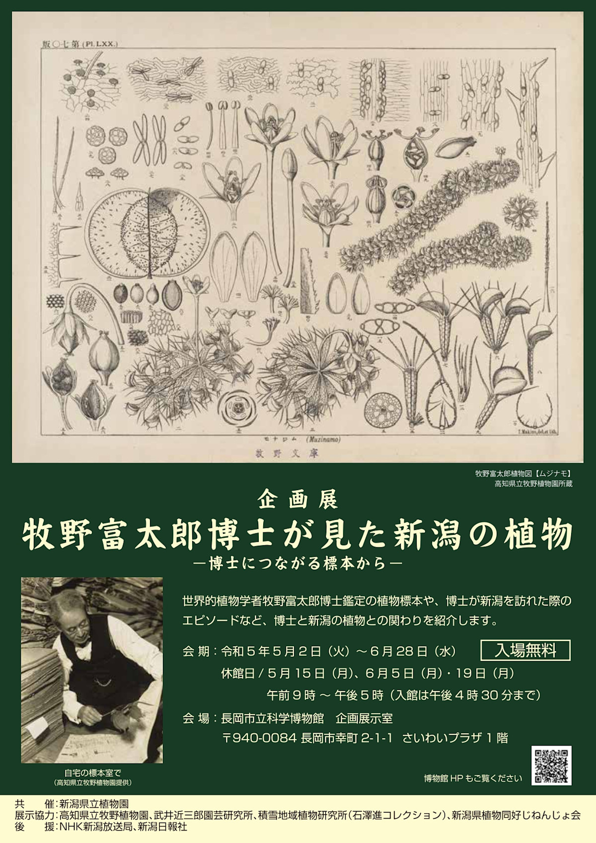 The Plants of Niigata as Seen by Dr. Tomitaro Makino - Specimens Linked ...