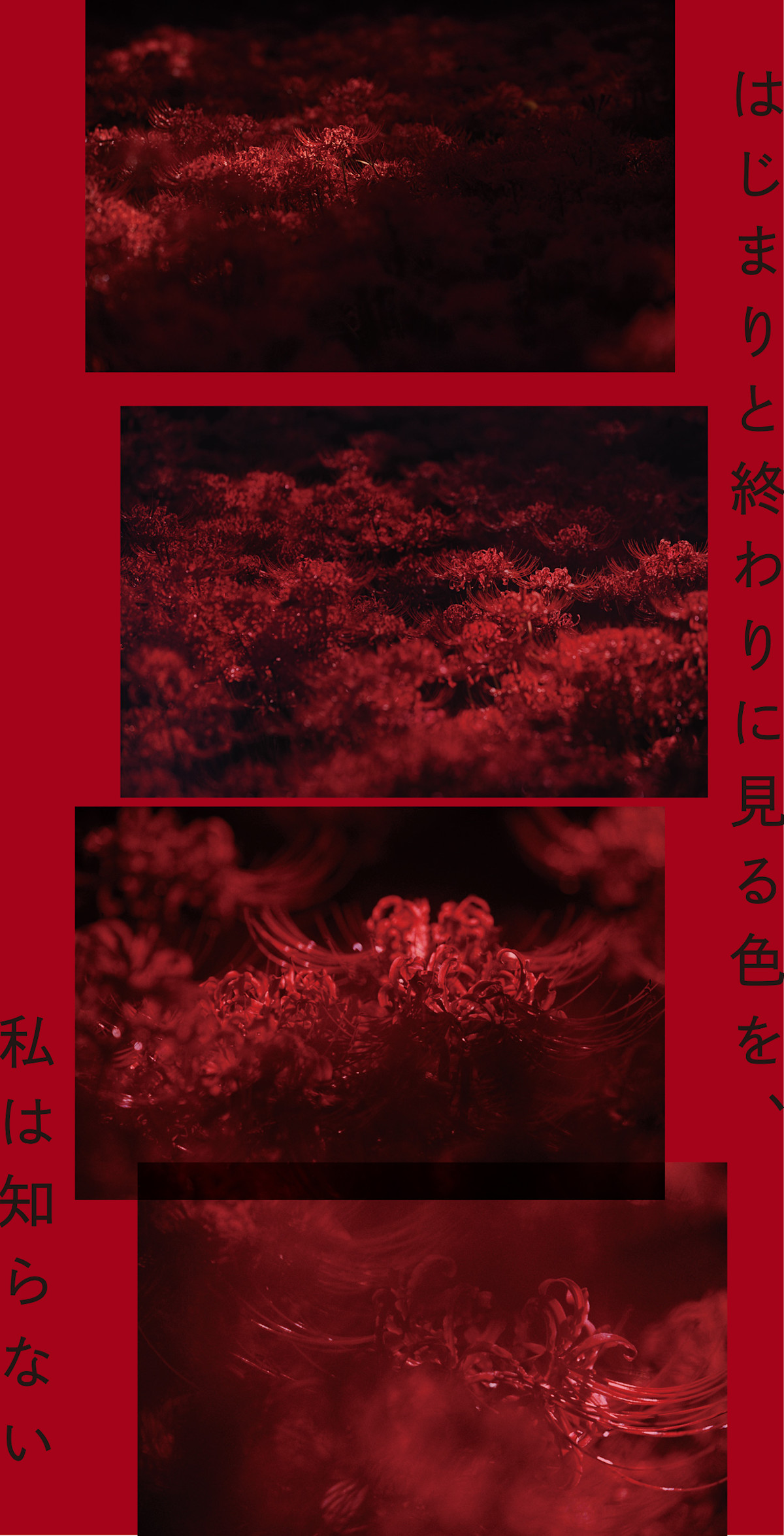 井上佐由紀 「はじまりと終わりに見る色を、私は知らない」 （東條會舘写真研究所） ｜Tokyo Art Beat