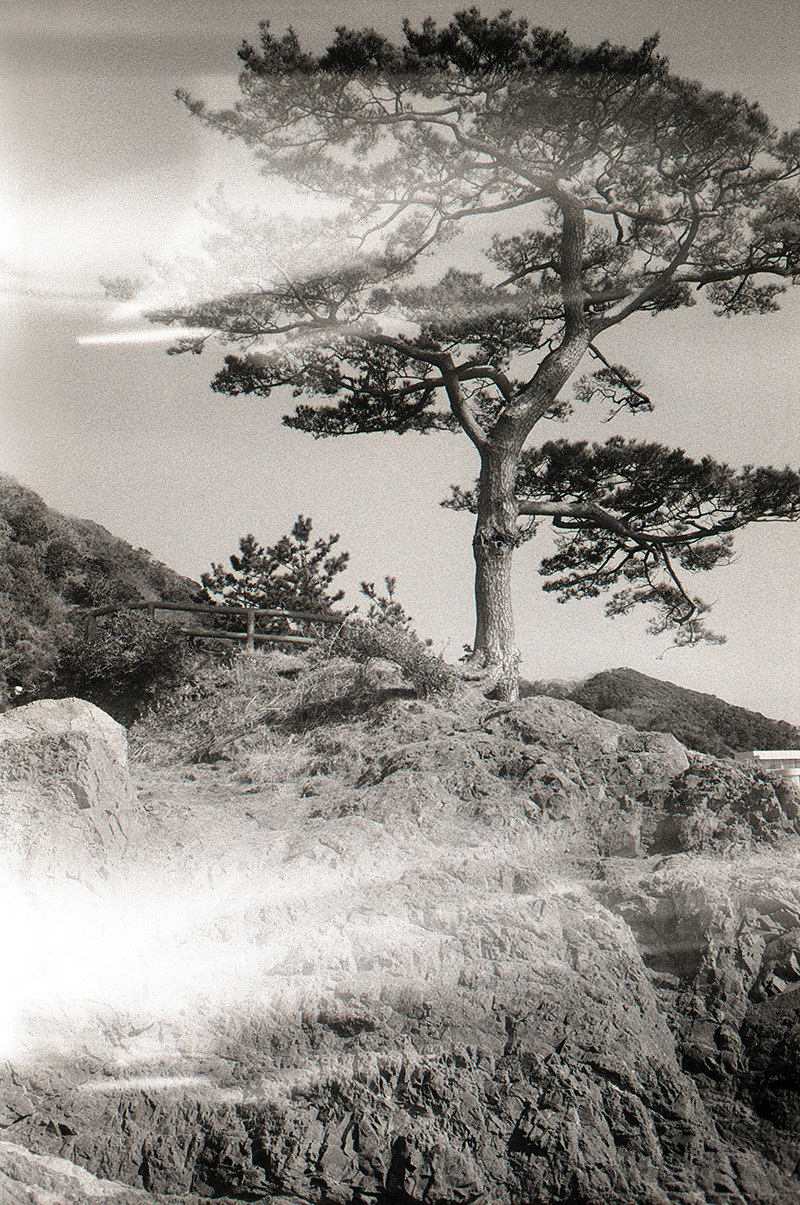 Jakuyo 「Island」 （Totem Pole Photo Gallery） ｜Tokyo Art Beat