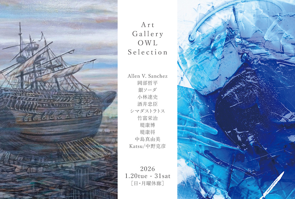Art Gallery Owl Selection （Art Gallery Owl） ｜Tokyo Art Beat