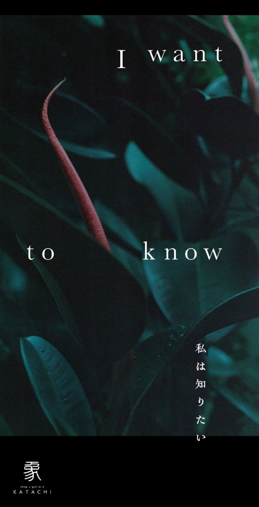 Hiroyuki Hagiwara "I want to know " （Shop & Gallery Katachi） ｜Tokyo Art Beat