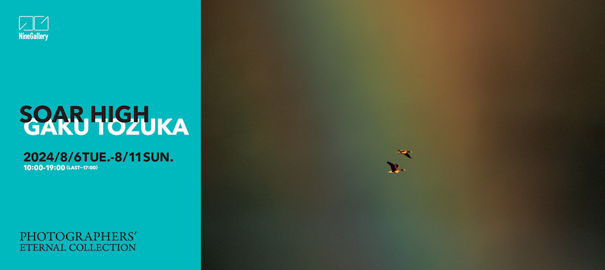 Gaku Tozuka "Soar High" （Nine Gallery） ｜Tokyo Art Beat