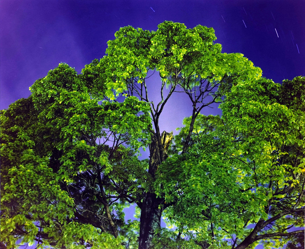 勝又公仁彦 「WAR REQUIEM I」 （KOKI ARTS） ｜Tokyo Art Beat