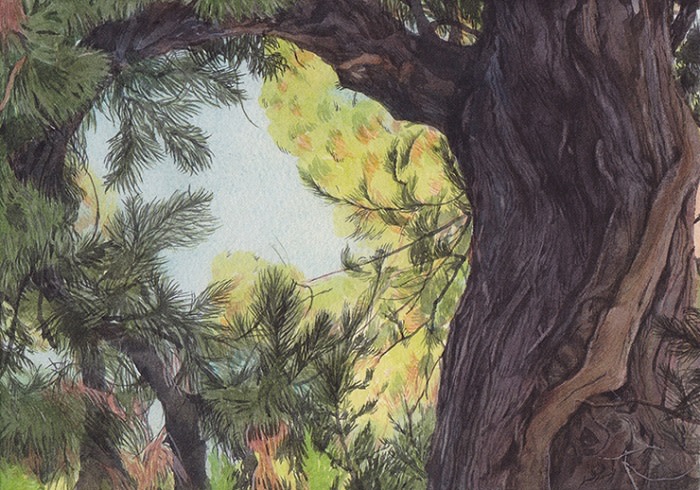 CAI QIN 「All the trees sing」 （Gallery美の舎） ｜Tokyo Art Beat
