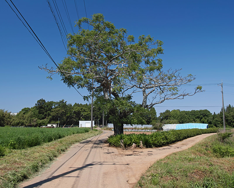 Haruto Sakata "Landscape of Death" （Totem Pole Photo Gallery） ｜Tokyo ...