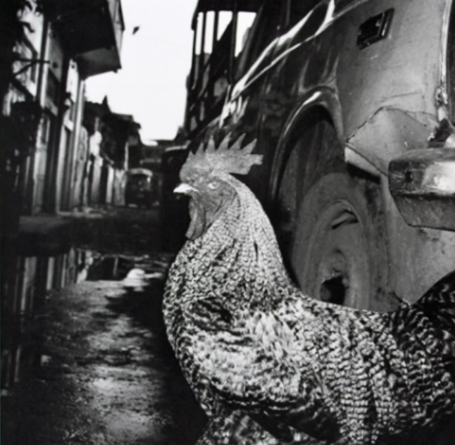 Masato Seto "Map of Memories" （Fukushima Prefectural Museum of Art ...