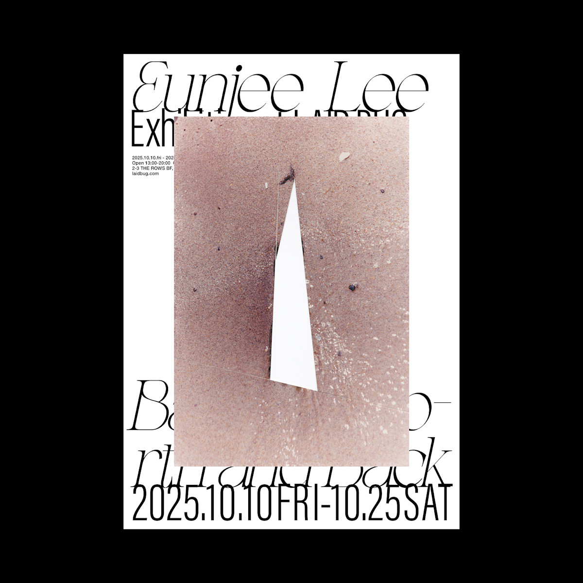 Eunjee Lee "Back and Forth and Back" （Laid Bug） ｜Tokyo Art Beat