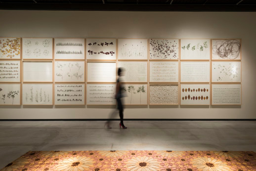 Ling Meng「Specimens of Time -時間の標本-」｜Tokyo Art Beat