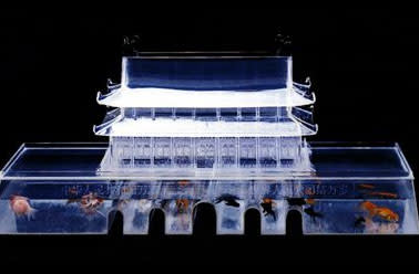 KOH Myung-Keun / LUHAO二人展 （東京画廊＋BTAP） ｜Tokyo Art Beat