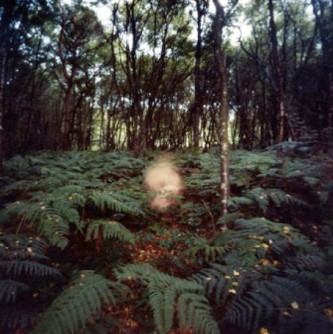 Jan Dunning “Secrets” （NCA | Nichido Contemporary Art） ｜Tokyo Art Beat