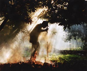 This Week at Fuji Photo Salon （Fuji Photo Salon） ｜Tokyo Art Beat