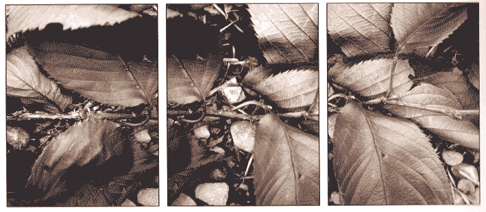 Steven Berkowitz 写真展 （表参道画廊） ｜Tokyo Art Beat