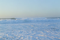 ホンマタカシ 「NEW WAVES」 （GALLERY 360°） ｜Tokyo Art Beat