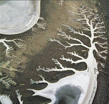 Bernhard Edmaier "Earthsong" （Konica Minolta Plaza） ｜Tokyo Art Beat