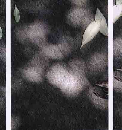 Steven Berkowitz 展 （表参道画廊） ｜Tokyo Art Beat