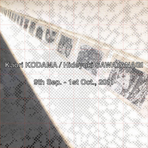 Kaori Kodama + Hideyuki Sawayanagi Exhibition （Radium von Roentgenwerke AG） ｜Tokyo Art Beat