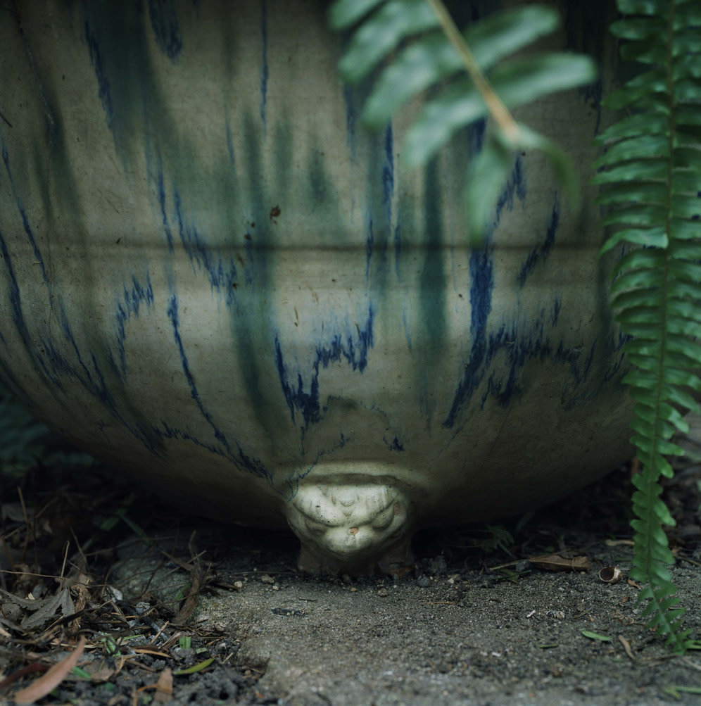 石井孝典 「Nio ヤドリの石」 （TRAUMARIS ） ｜Tokyo Art Beat