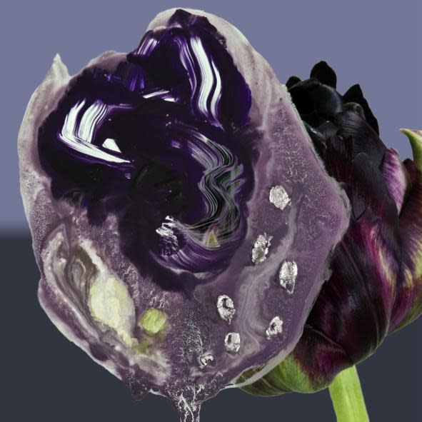 Shigeaki Koeda Exhibition （Kamakura Gallery） ｜Tokyo Art Beat