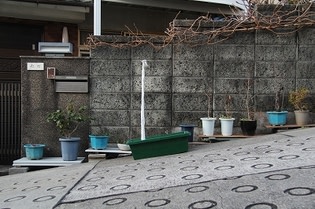 「TWS-Emerging 176/177/178/179」展 （トーキョーアーツアンドスペース本郷） ｜Tokyo Art Beat