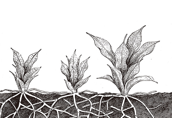 Margaret Lanzetta + David Packer "Famous Ornament, "Ways of Worldmaking ...