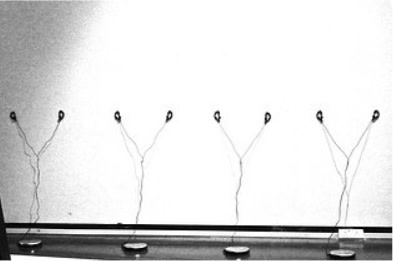 Sachiko M 「FINAL CALL」 （SUNDAY ISSUE） ｜Tokyo Art Beat