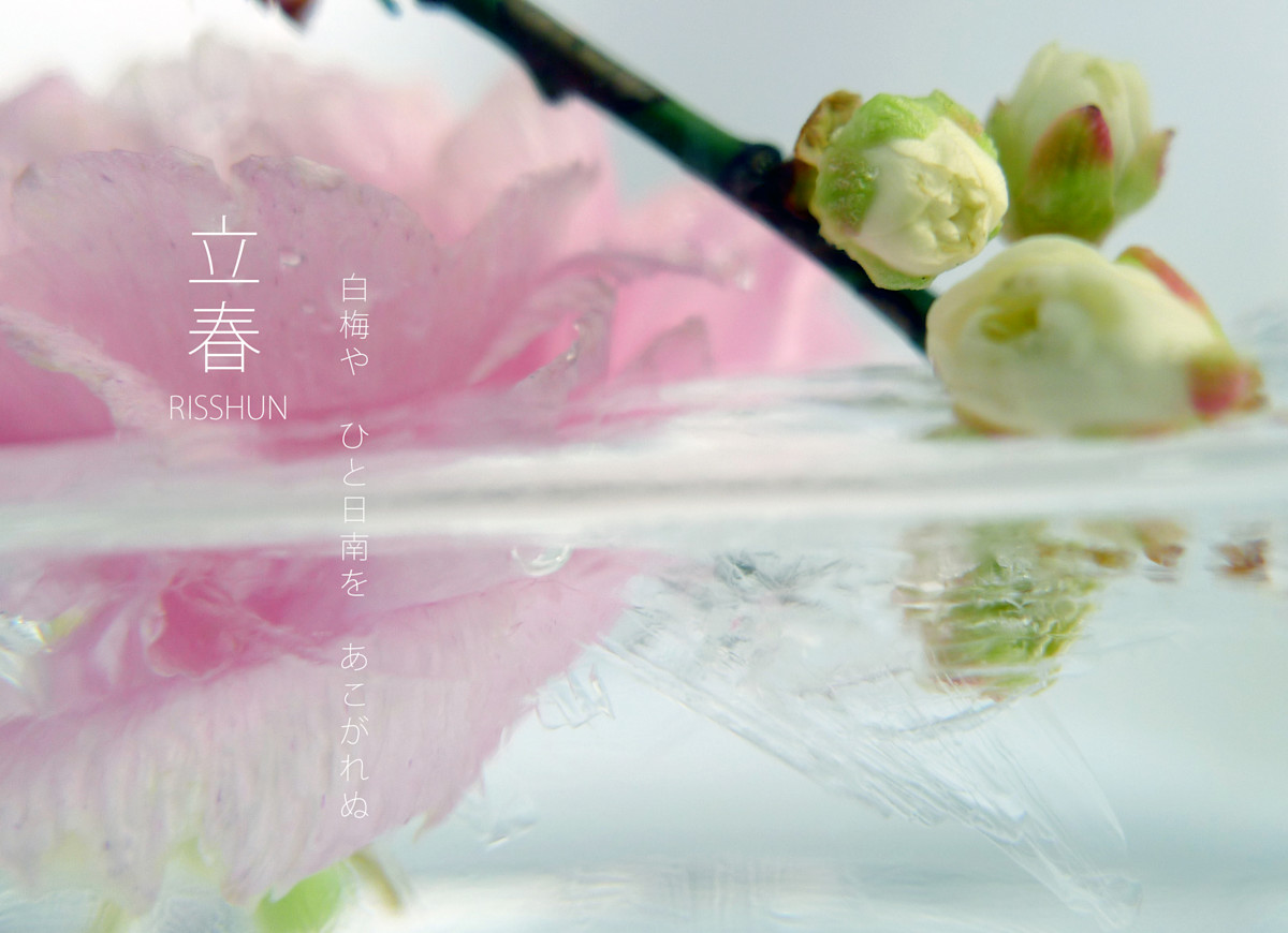 「立春」展 （O-Jewel） ｜Tokyo Art Beat