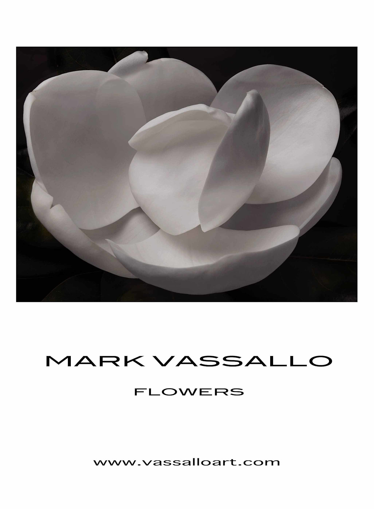 Mark Vassallo 「FLOWERS」 （ファイヤーキングカフェ） ｜Tokyo Art Beat