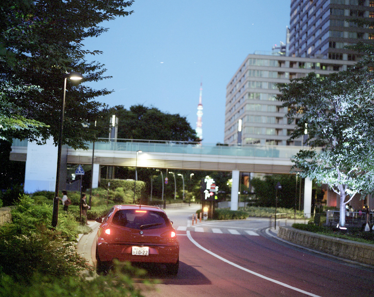 加藤立 「TODAY」 （TRAUMARIS ） ｜Tokyo Art Beat