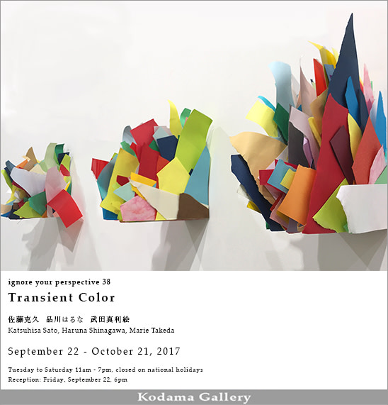 佐藤克久 + 品川はるな + 武田真利絵 「Trancient Color」 （児玉画廊｜白金） ｜Tokyo Art Beat