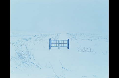 GSS Photo Award』受賞者展」 （FUJIFILM SQUARE） ｜Tokyo Art Beat