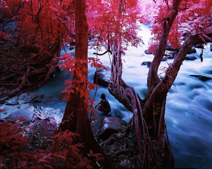 From the Taguchi Art Collection: Richard Mosse and Maria Taniguchi ...
