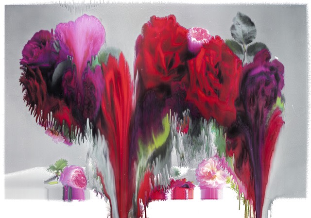 NICK KNIGHT 「STILL」 （The Mass） ｜Tokyo Art Beat