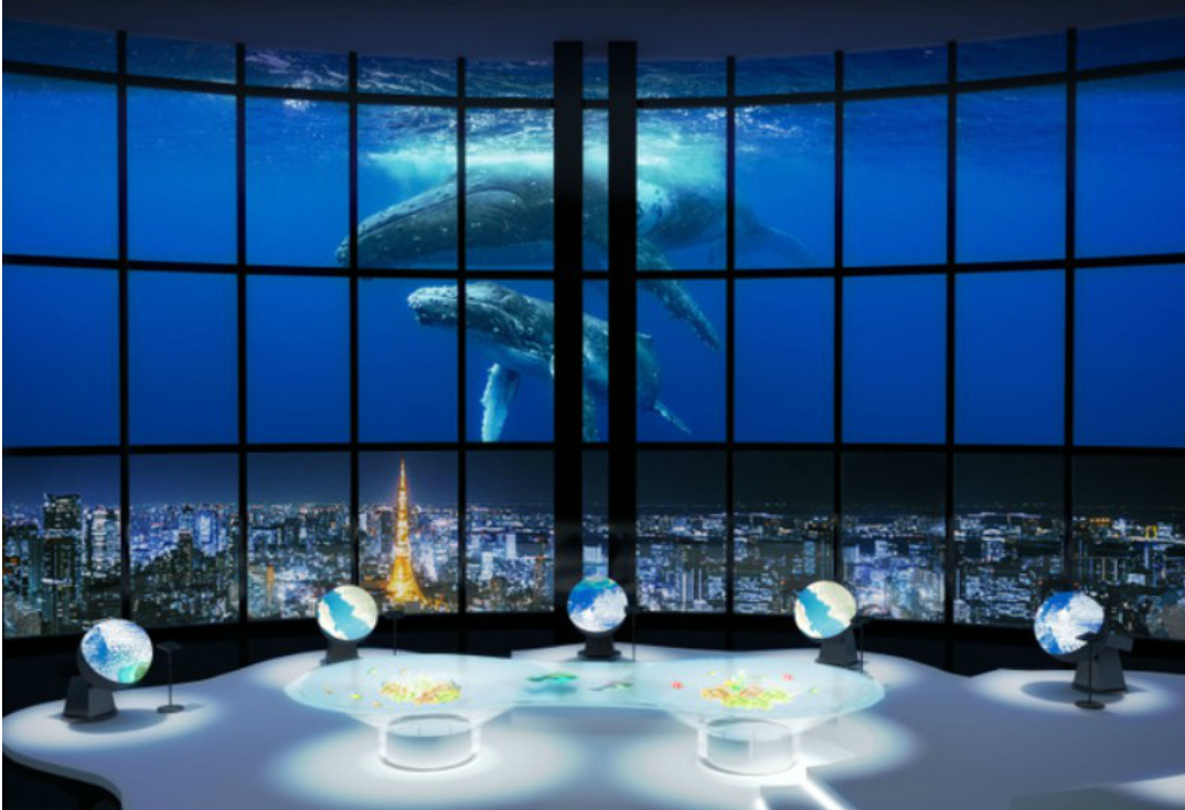 Tangible Earth Museum 2018 – Featuring Ocean and Marine Creatures ...