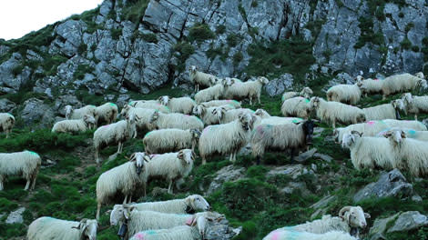 Nobuhiro Shimura “Land” （Yuka Tsuruno Gallery） ｜Tokyo Art Beat