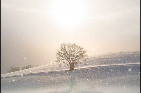 6th Shadan Yakushi General Exhibiton （Fujifilm Square） ｜Tokyo Art Beat