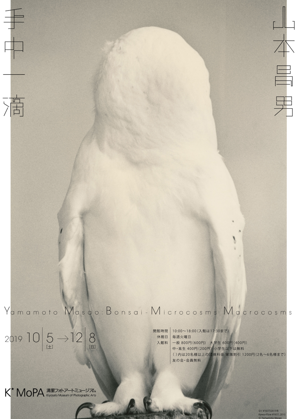 Masao Yamamoto “Bonsai—Microcosms Macrocosms” （Kiyosato Museum of ...