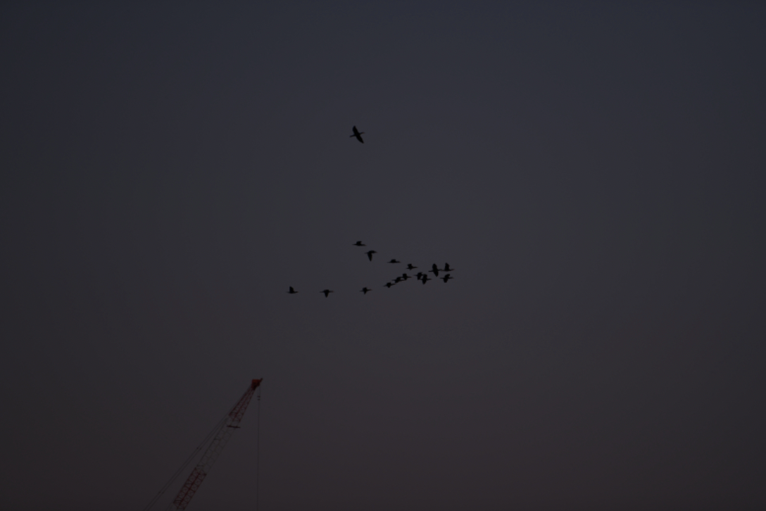 「Confront the Shadow」 （Gallery Conceal Shibuya） ｜Tokyo Art Beat