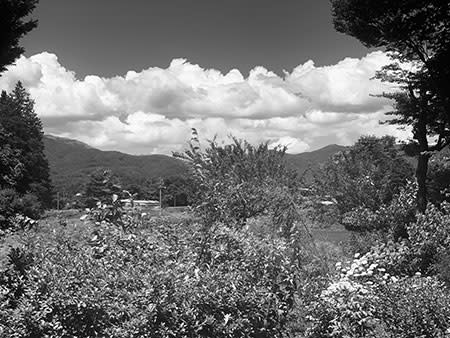 Masato Seto “Last Film” （Place M） ｜Tokyo Art Beat