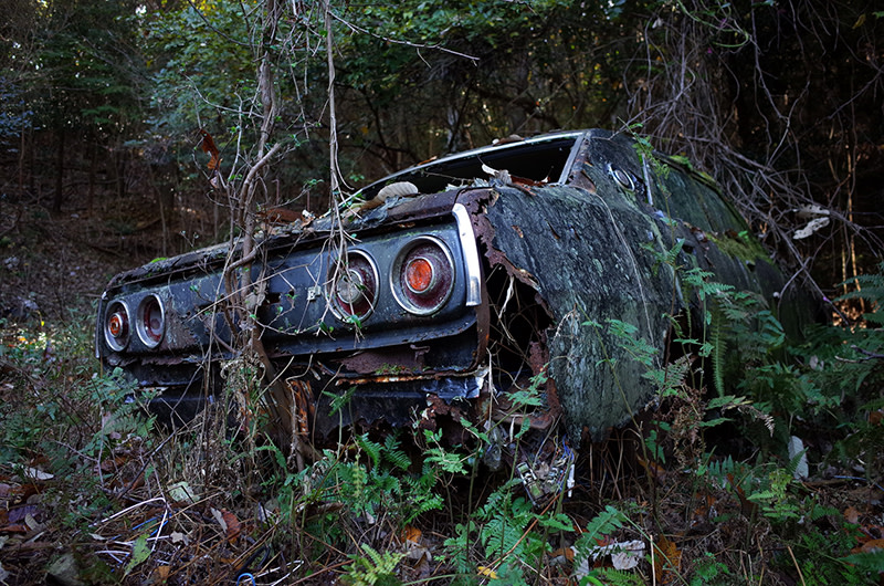Takahiro Masuda “Wabi-Car” （Ricoh Imaging Square Osaka） ｜Tokyo Art Beat