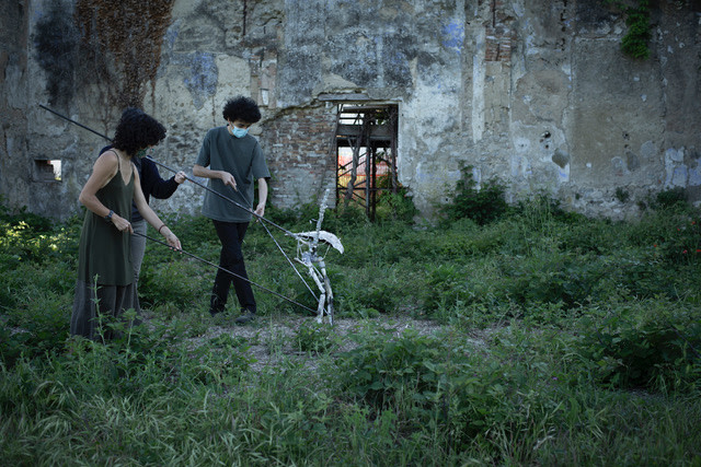 吉田萠 「蛙犬 Rana Cane」 （GALLERY TAGA 2） ｜Tokyo Art Beat