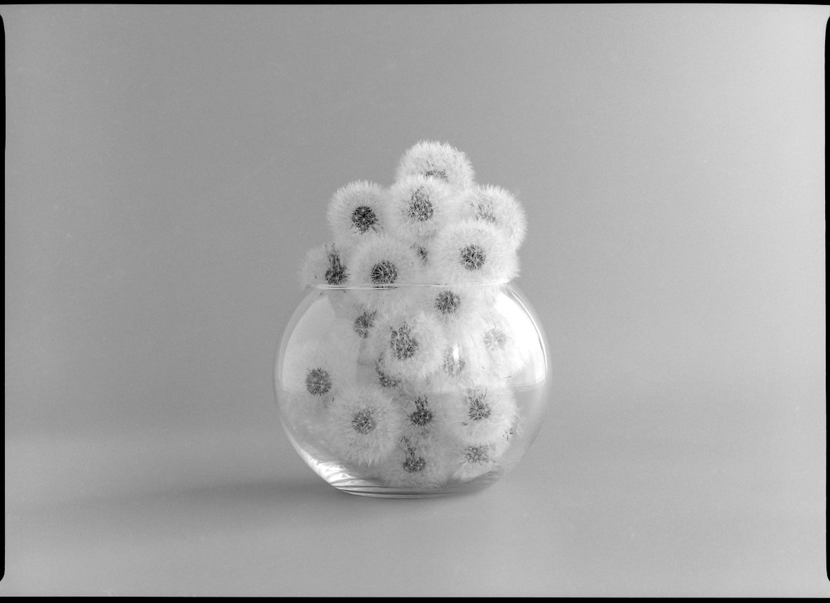 Yuya Muto “Pianissimo” （Ricoh Imaging Square Tokyo） ｜Tokyo Art Beat