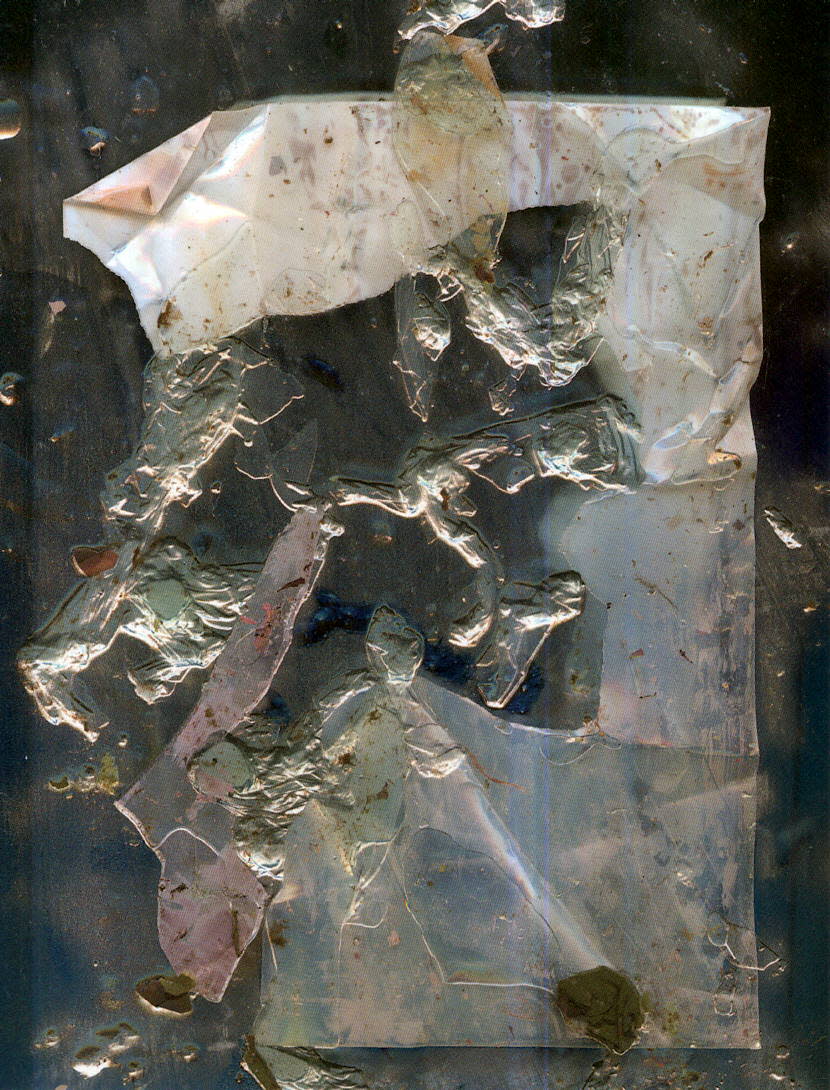 Daisuke Yokota “Photographs” （Rin Art Association） ｜Tokyo Art Beat