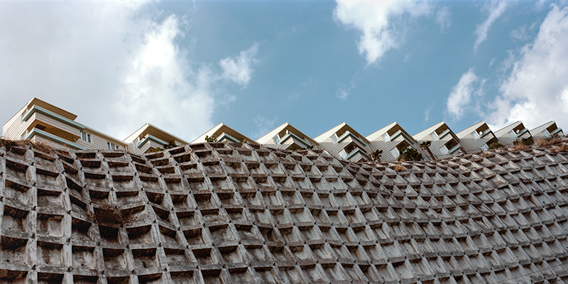 Hu Yang "Grafted Places" （Totem Pole Photo Gallery） ｜Tokyo Art Beat