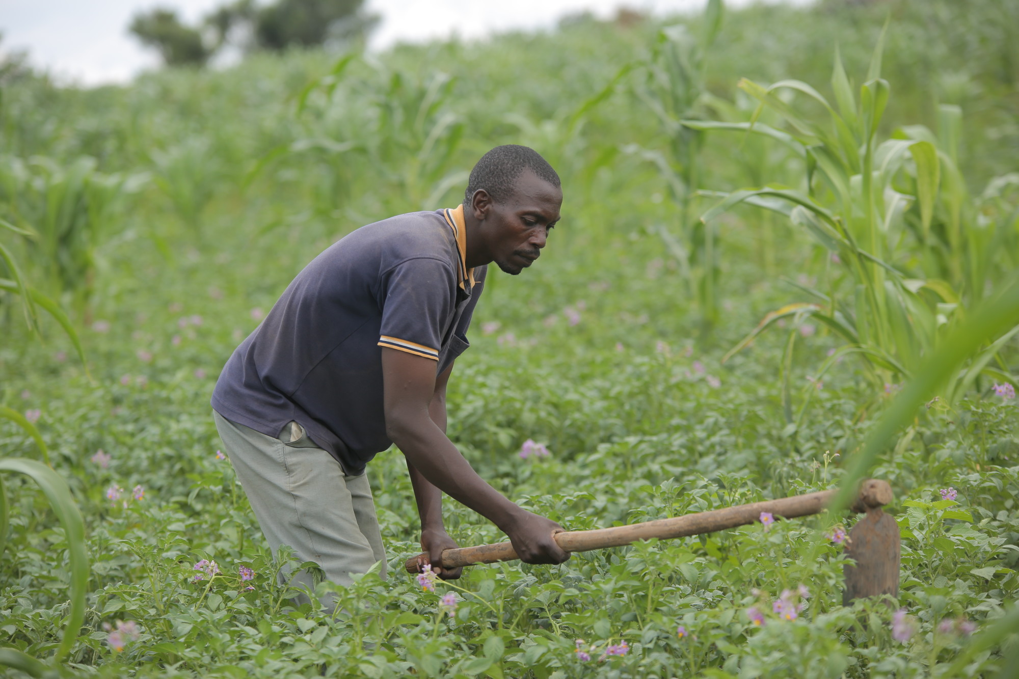 Striving for maximum positive impact in microfinance | Kiva