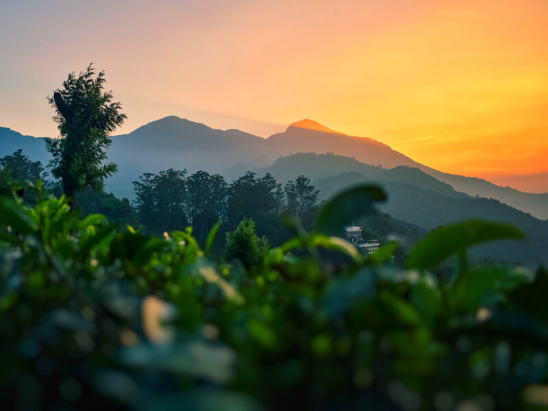 Microfinance interest rates, explained | Kiva