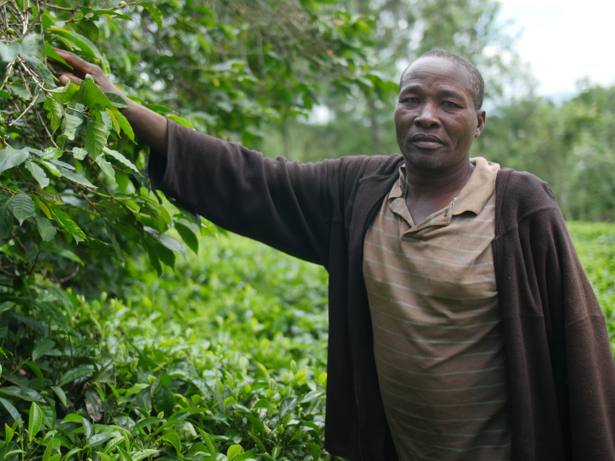 Innovating for tomorrow: Lessons from Kiva Labs’ innovation showcase | Kiva